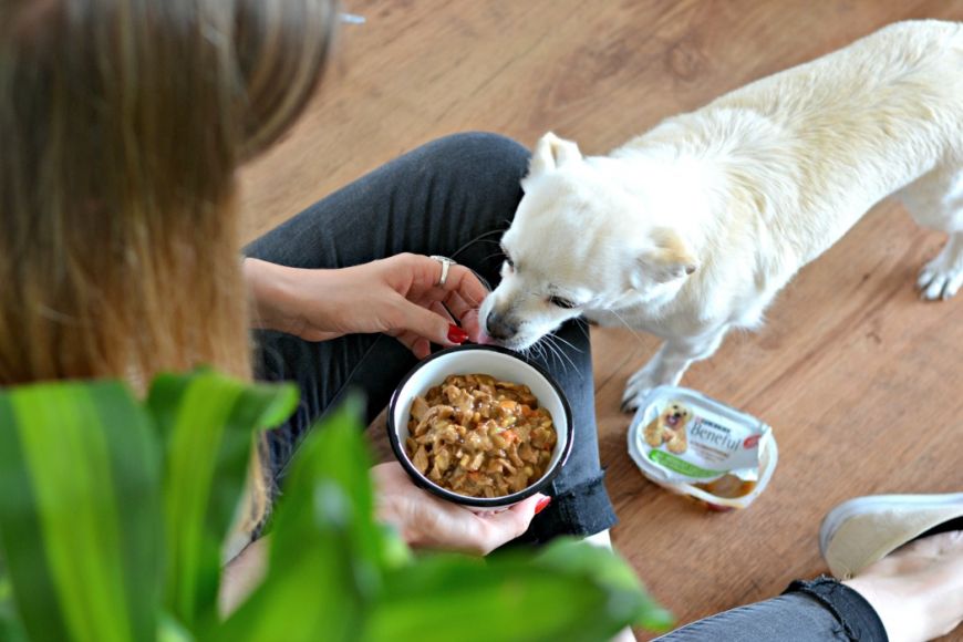 #WedelGlück - Wann wedelt Dein Hund vor Freude mit dem Schwanz?