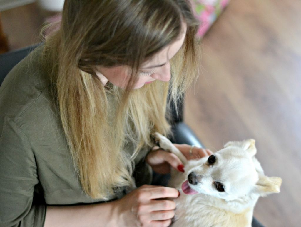 #WedelGlück - Wann wedelt Dein Hund vor Freude mit dem Schwanz?