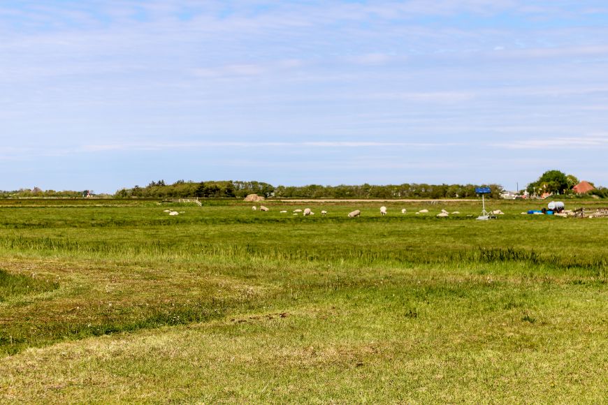 Die erste Reise mit Baby. Texel - eine ideale Insel für Groß und Klein ...