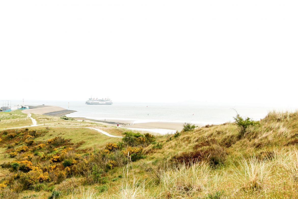 Die erste Reise mit Baby. Texel – eine ideale Insel für Groß und Klein.